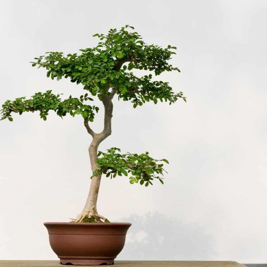 27 Manly Gifts For Manly Men in 2025 - Gift Brilliant